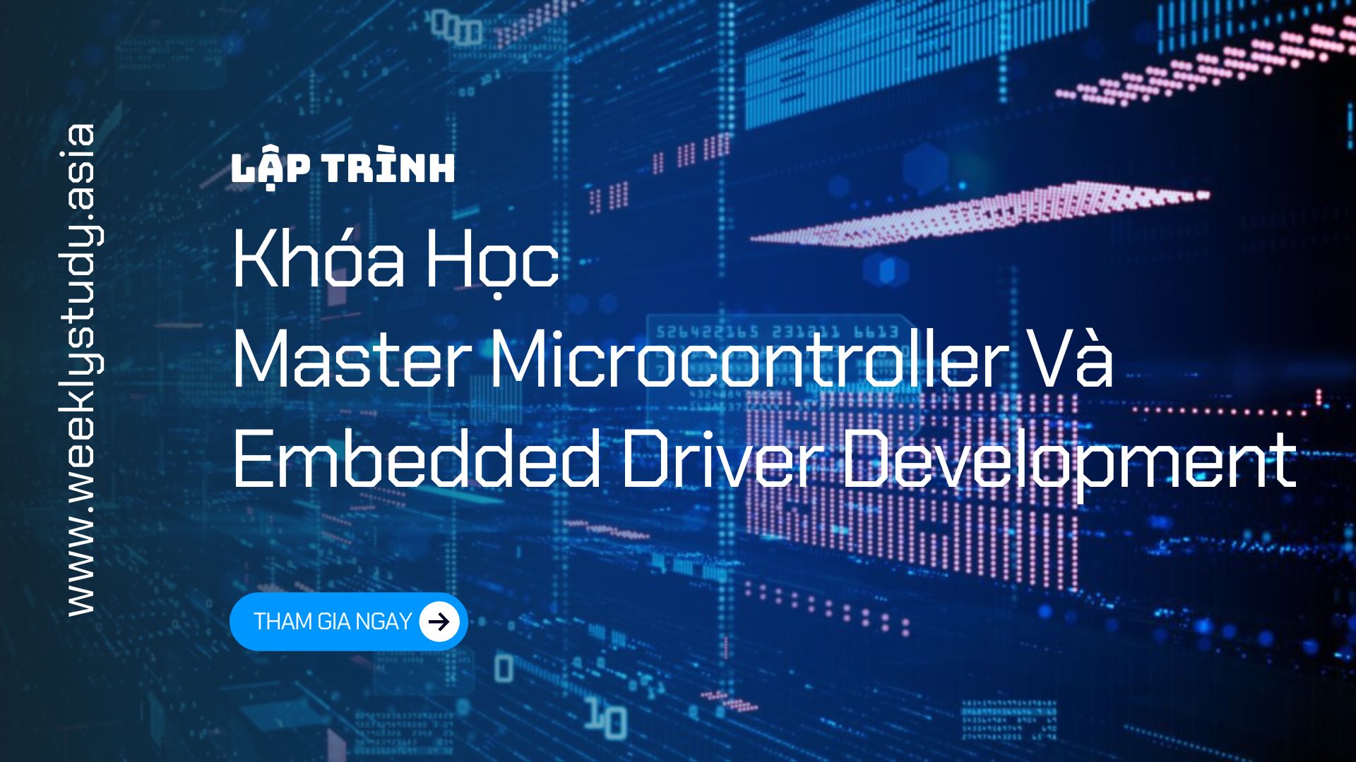 Giới Thiệu Khóa Học Master Microcontroller Và Embedded Driver Development Mã 8241 A Kho